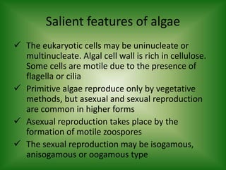 THALLUS ORGANISATION OF CHLOROPHYCEAE.pptx