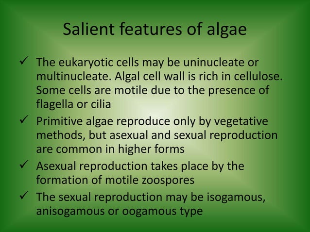 THALLUS ORGANISATION OF CHLOROPHYCEAE.pptx | Reproductive Health ...