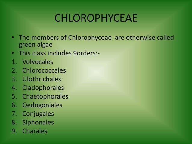 THALLUS ORGANISATION OF CHLOROPHYCEAE.pptx | Reproductive Health ...