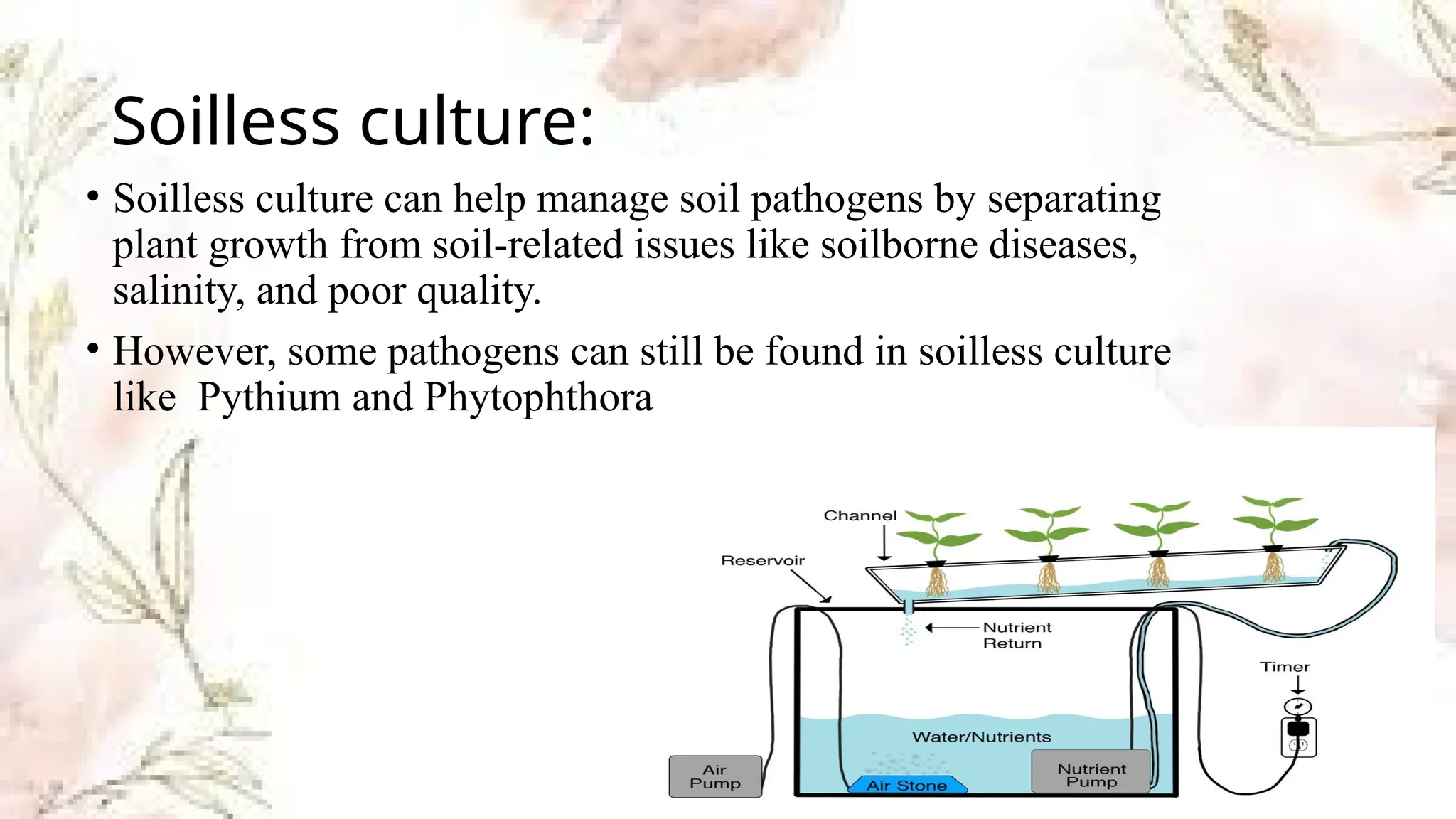 Management of soil born pathogens PATHO ppt.pptx