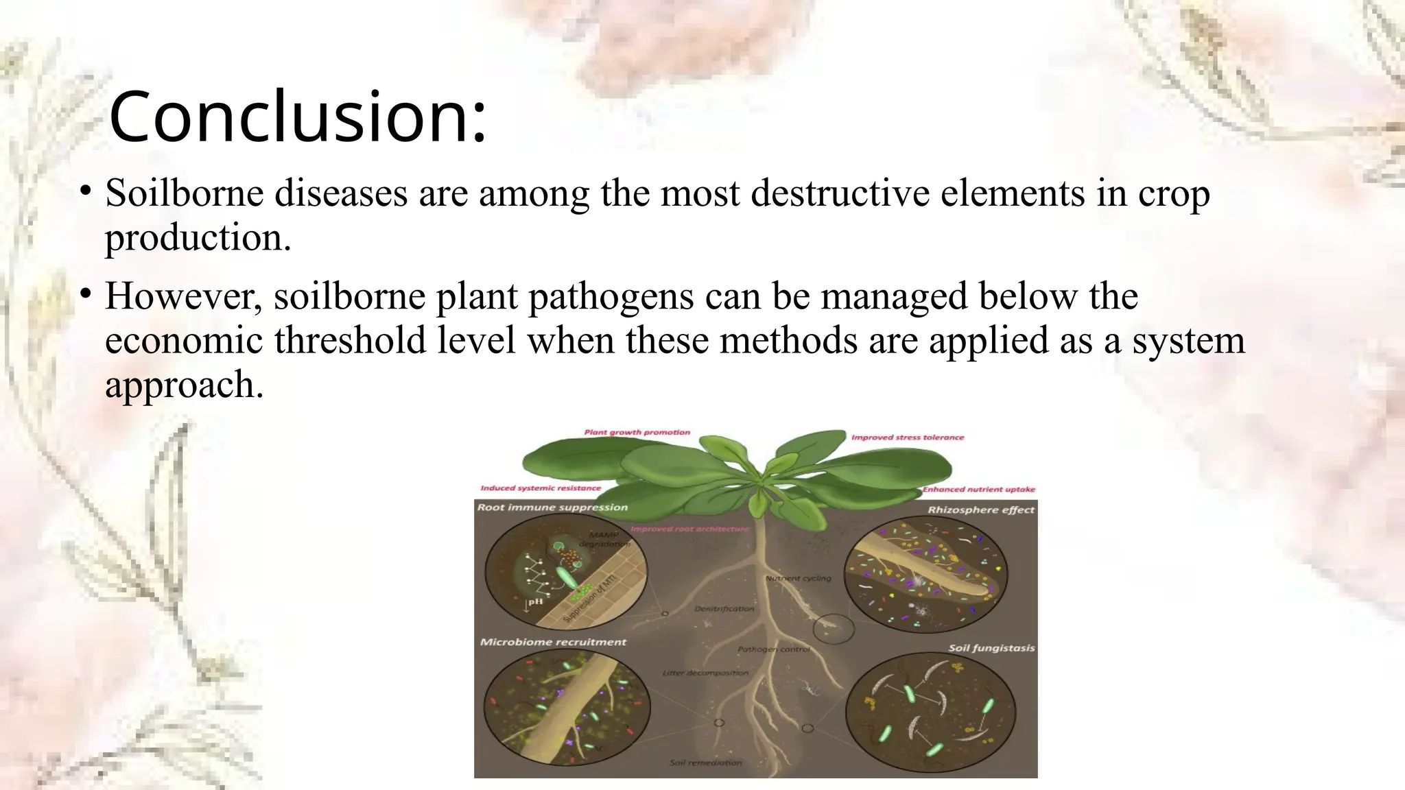 Management of soil born pathogens PATHO ppt.pptx