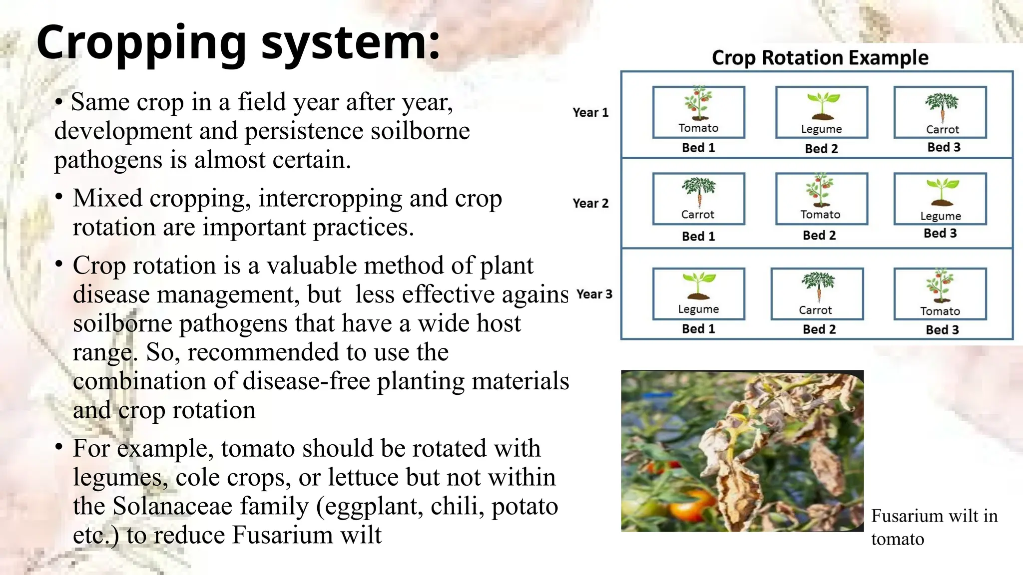 Management of soil born pathogens PATHO ppt.pptx
