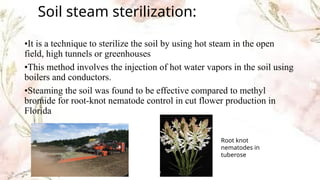 Management of soil born pathogens PATHO ppt.pptx