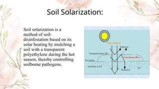 Management of soil born pathogens PATHO ppt.pptx