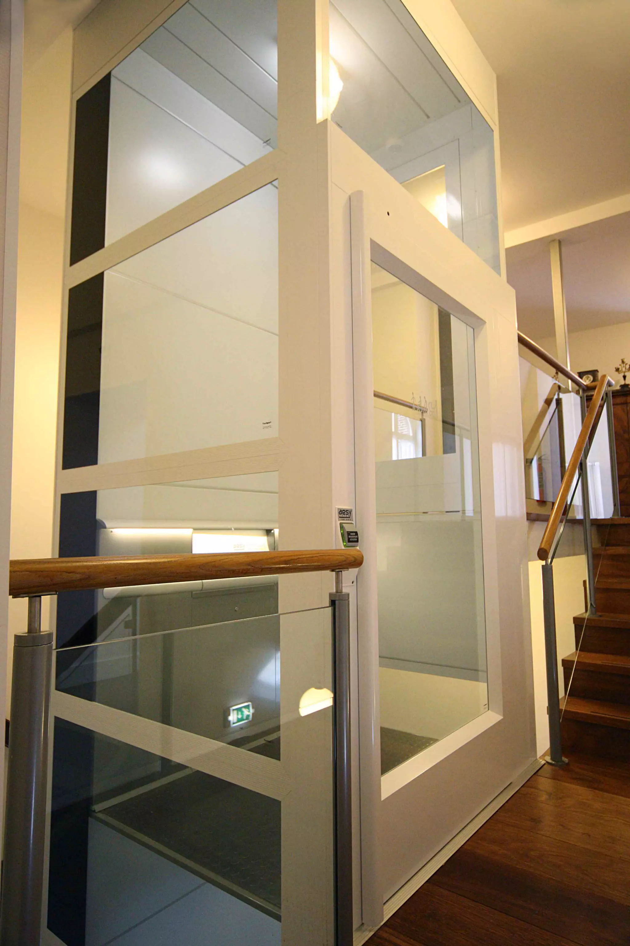 Thang may gia dinh - thang may gia dinh vip - home lift - platform lift ...