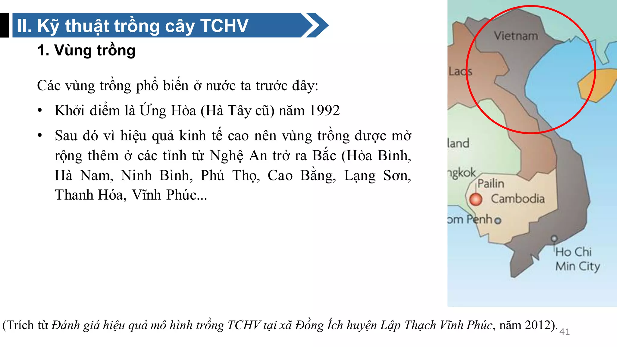 Thanh cao hoa vang nhom 3 | PDF