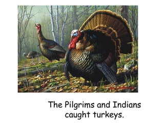 Thanksgivingbook | PPT