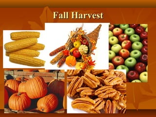 Thanksgiving presentation | PDF