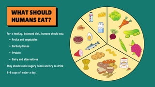 Debunking Nutrition Myths: Separating Fact from Fiction" | PDF