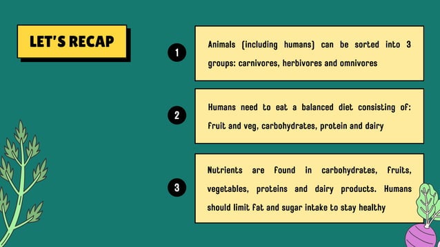 Debunking Nutrition Myths: Separating Fact from Fiction" | PPT