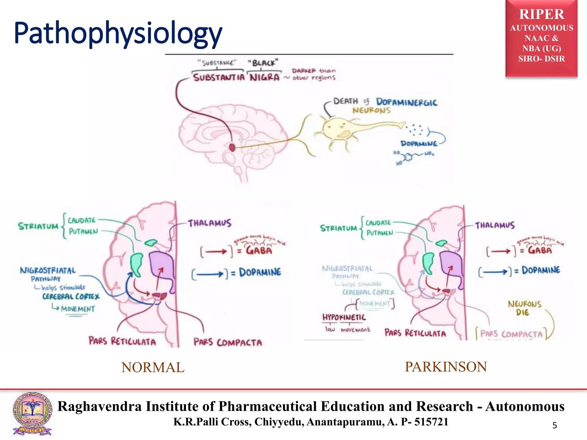 NEURO DEGENERATIVE DISEASES | PPTX