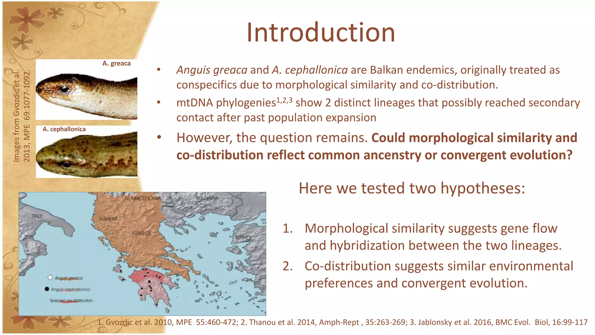 So close no matter how far: sympatric slow worm lizards look alike but ...