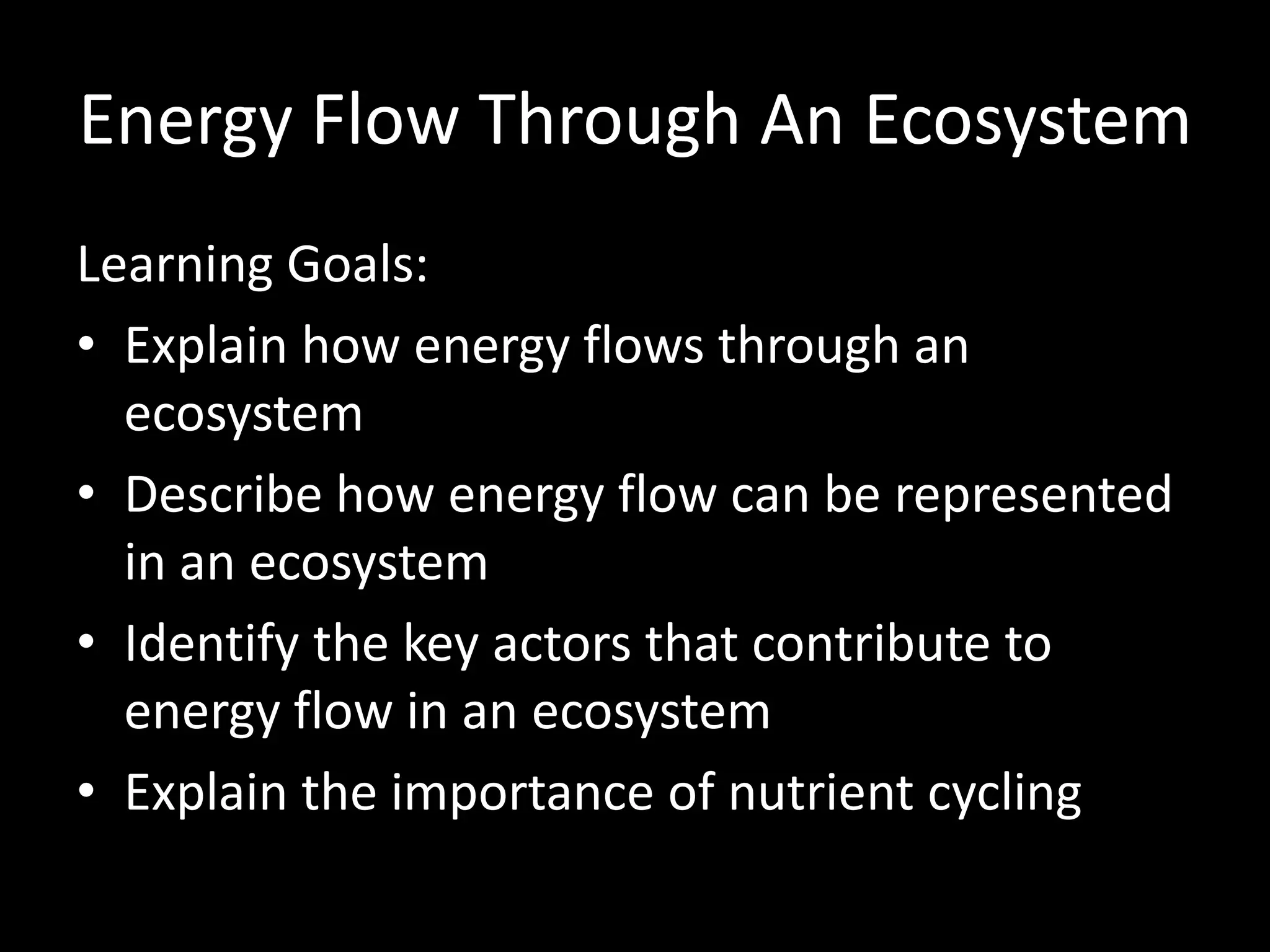 Energy Flow In An Ecosystem | PPTX