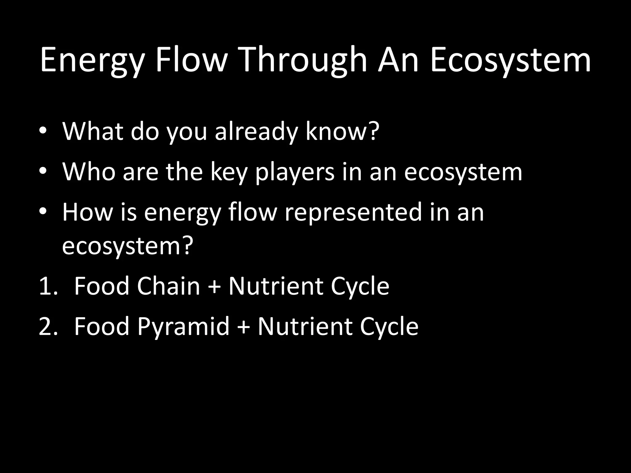 Energy Flow In An Ecosystem | PPTX