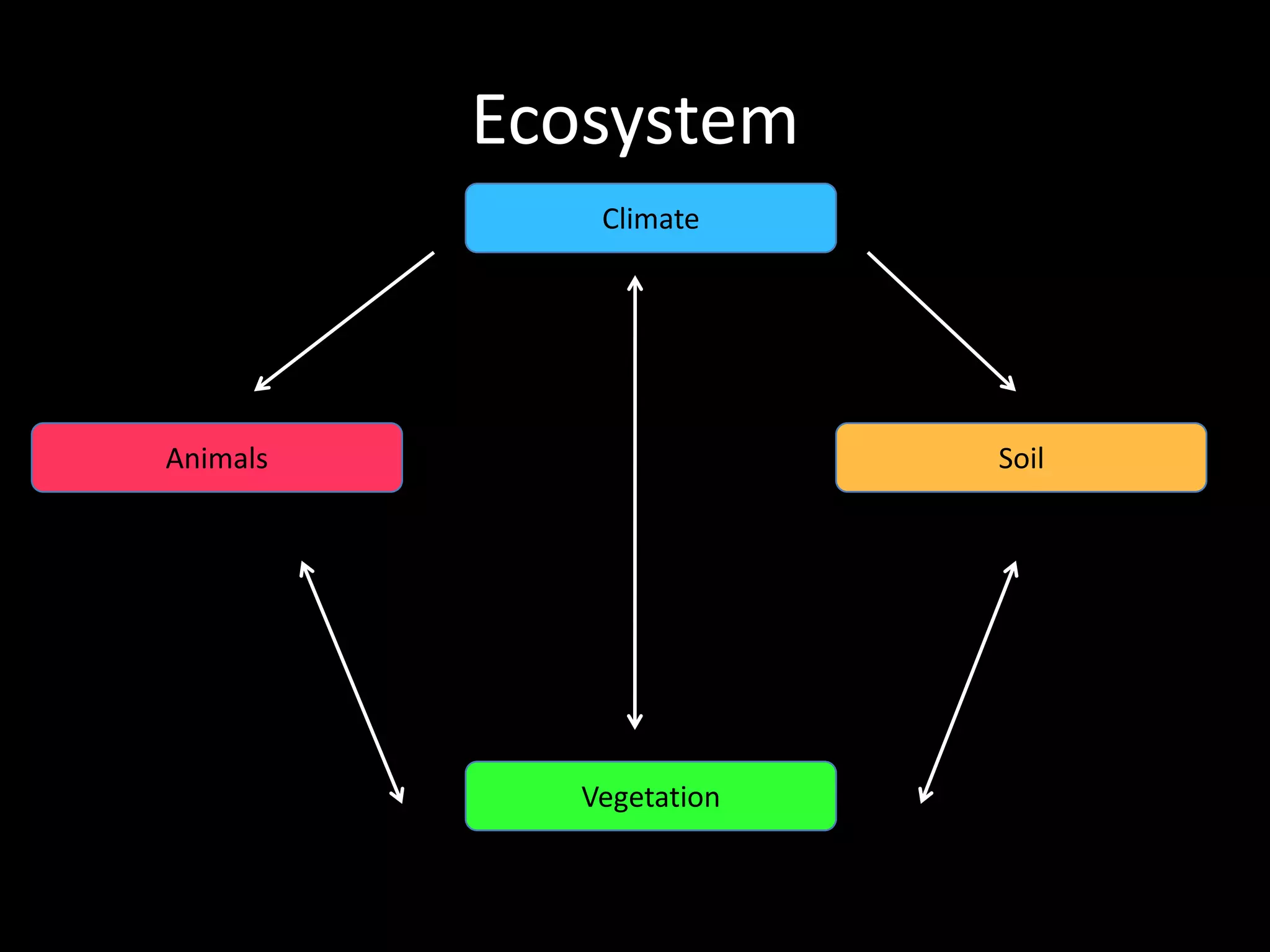 Energy Flow In An Ecosystem | PPTX