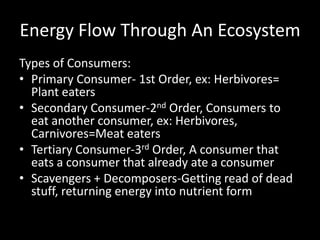 Energy Flow In An Ecosystem | PPTX