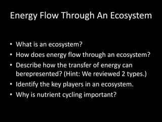 Energy Flow In An Ecosystem | PPTX
