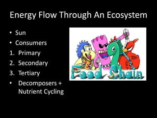 Energy Flow In An Ecosystem | PPTX