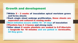 micrografting, meristem culture and genetic fidelity | PPTX