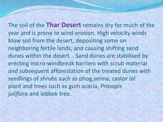 Thar and sahara | PPTX
