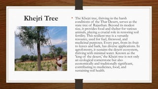 Thar Desert The Great Indian Desert: Life, Landscape, and Challenges | PDF