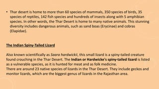 thar Desert Shoaib ppt^ (2)-1.pptx