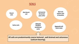 thar Desert Shoaib ppt^ (2)-1.pptx