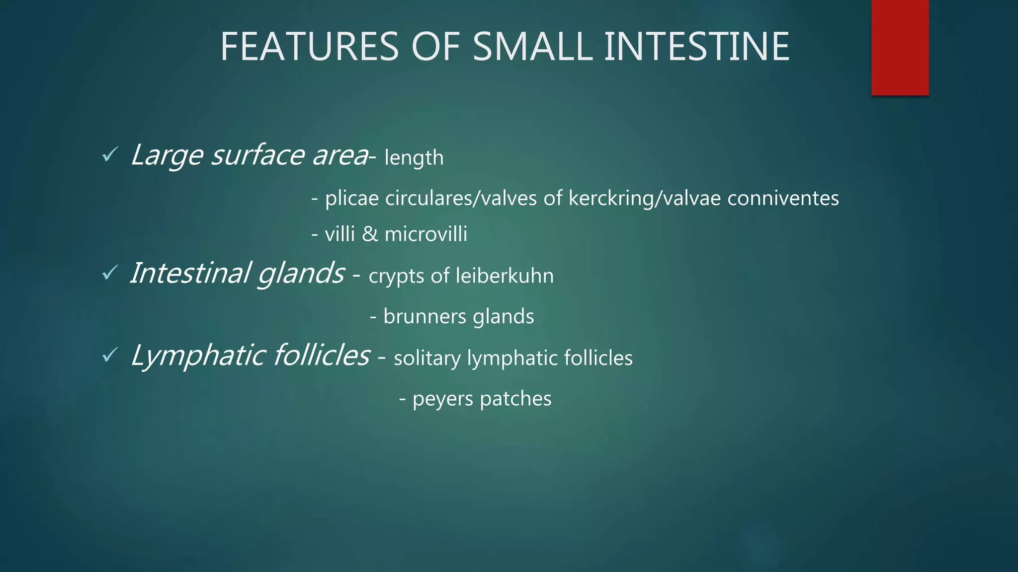 anatomy and physiology of small intestine | PPTX