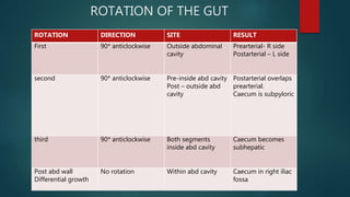 anatomy and physiology of small intestine | PPTX