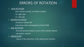 anatomy and physiology of small intestine | PPTX
