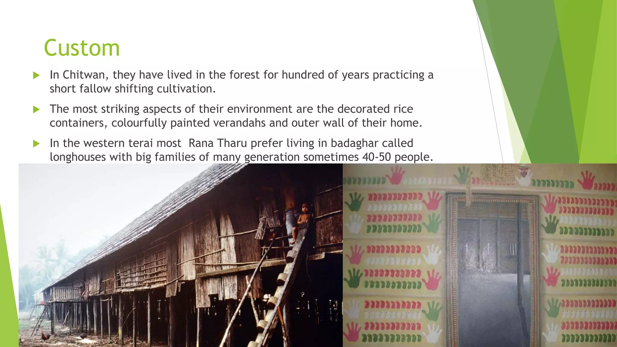 Tharu culture | PPTX