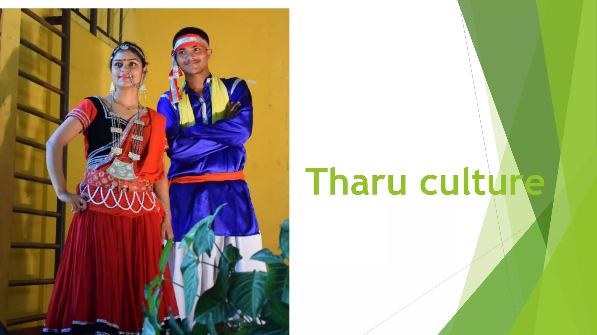 Tharu culture | PPT