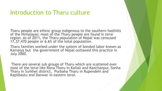 Tharu culture | PPTX