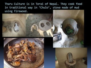 Tharu culutre in Nepal | PPTX