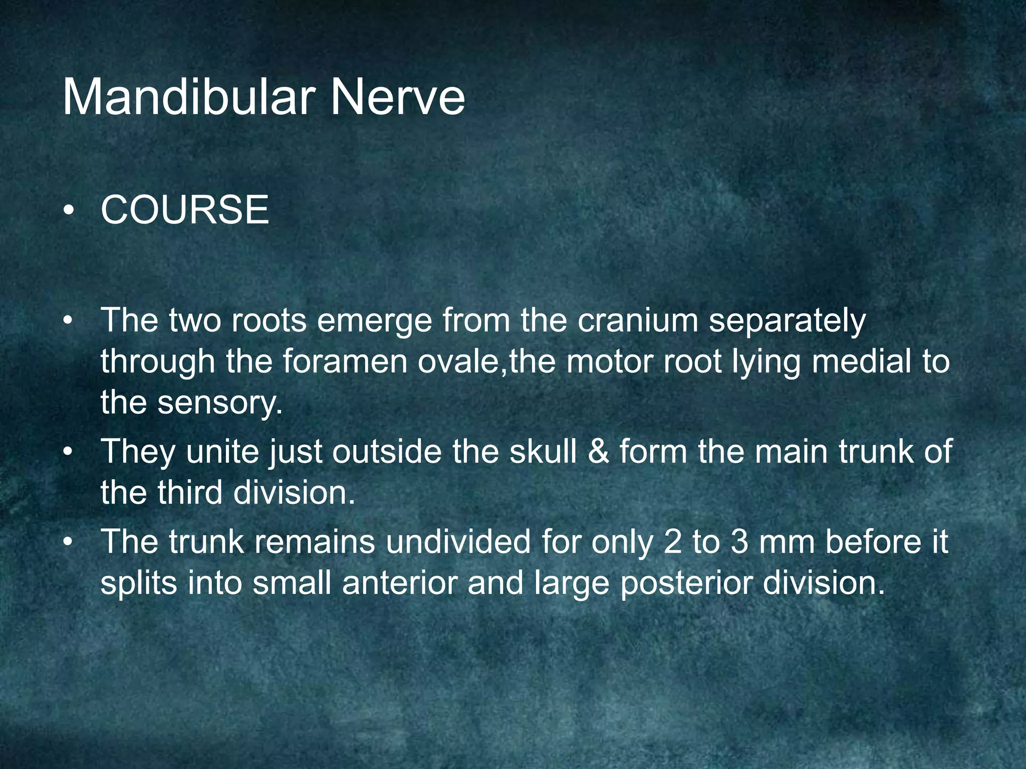 Mandibular nerve | PPTX