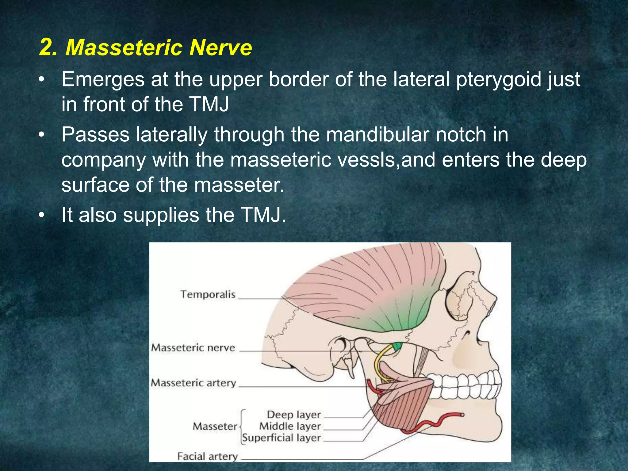 Mandibular nerve | PPTX