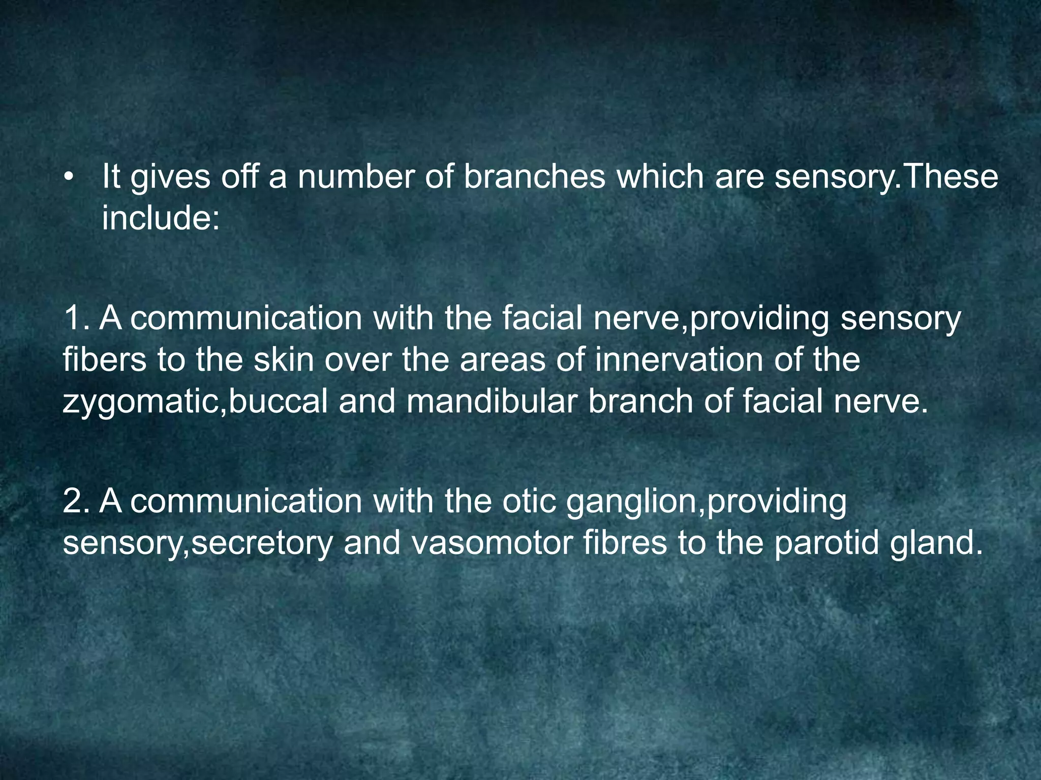 Mandibular nerve | PPTX