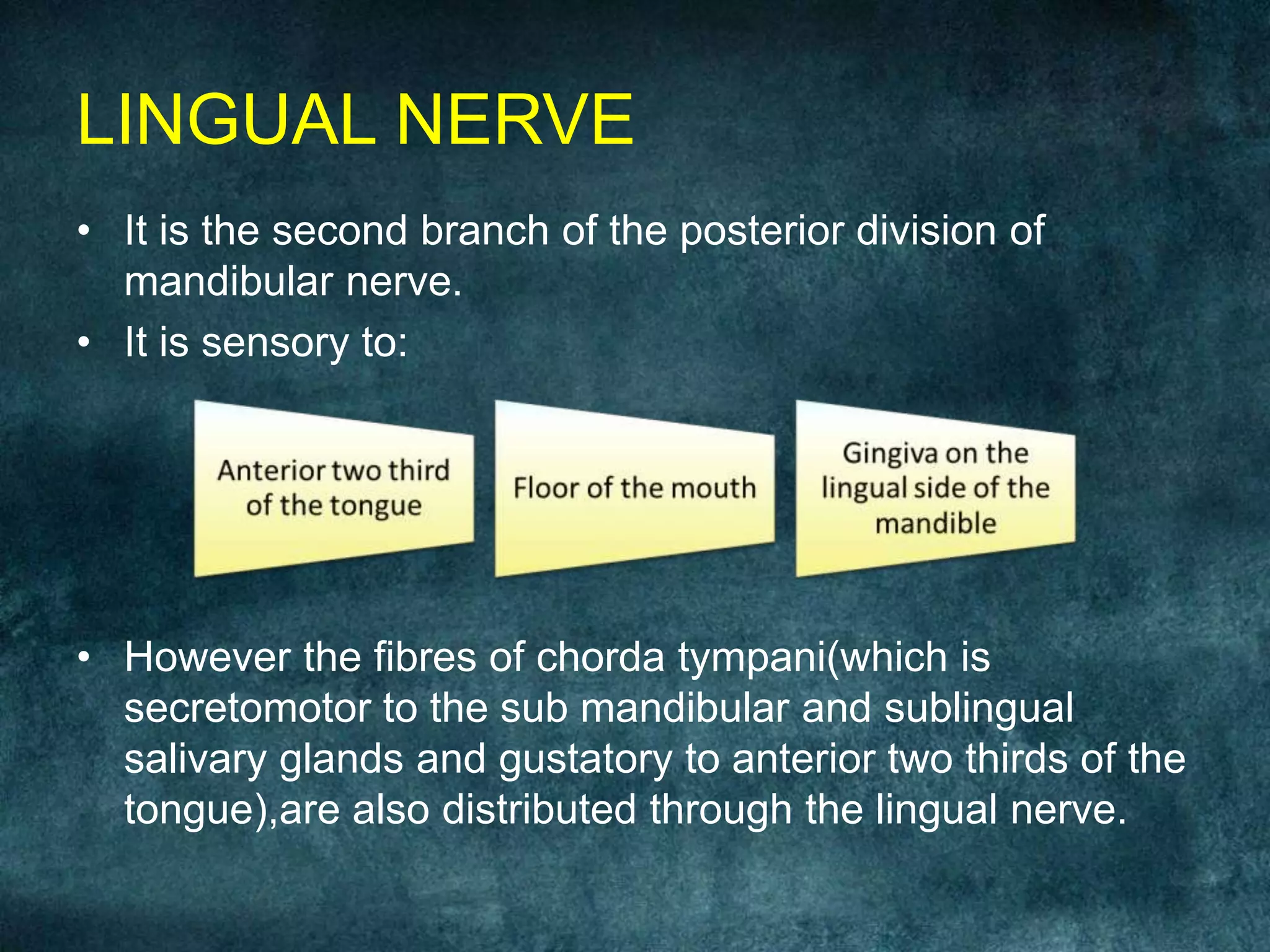 Mandibular nerve | PPTX