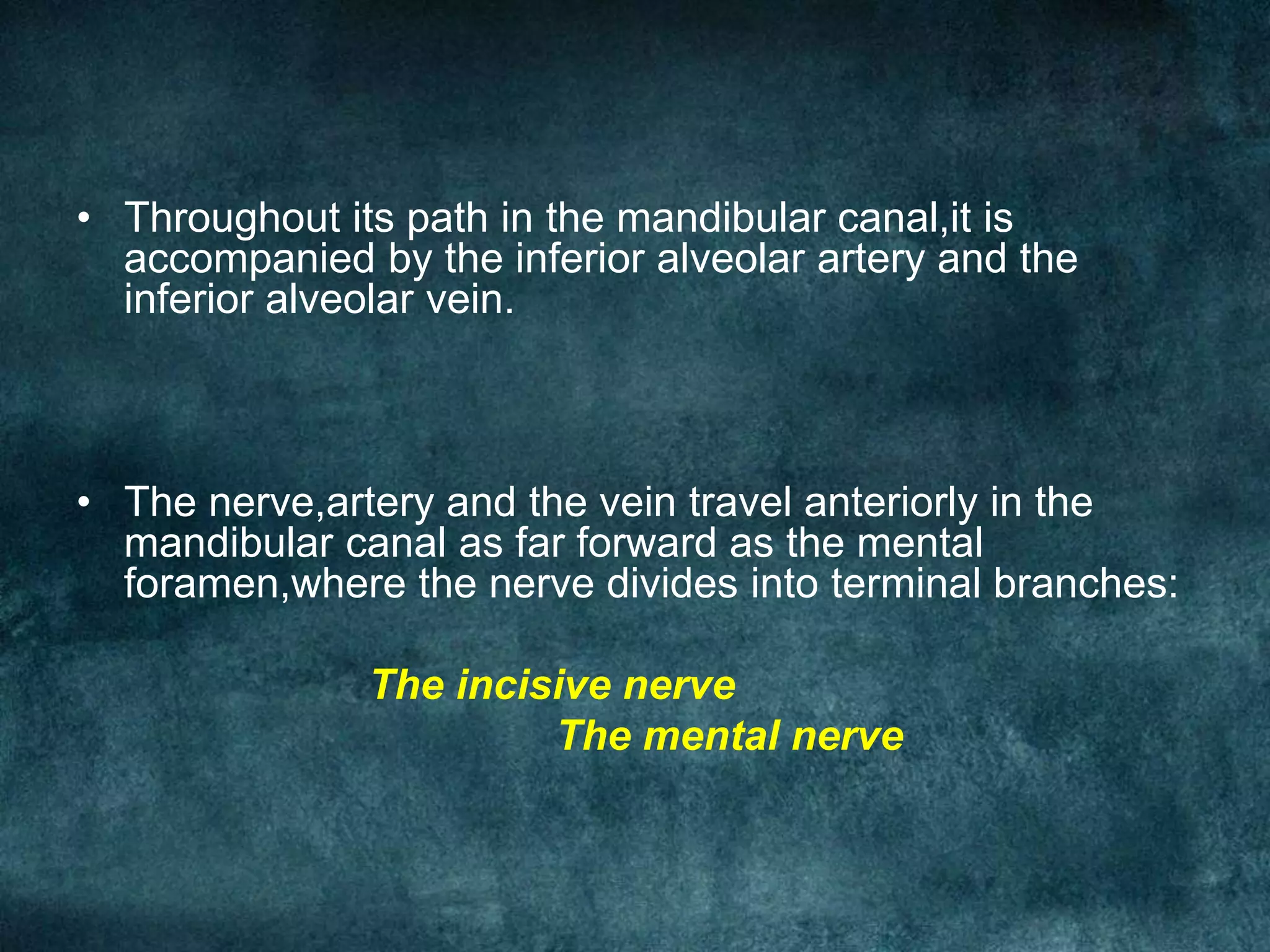 Mandibular nerve | PPTX