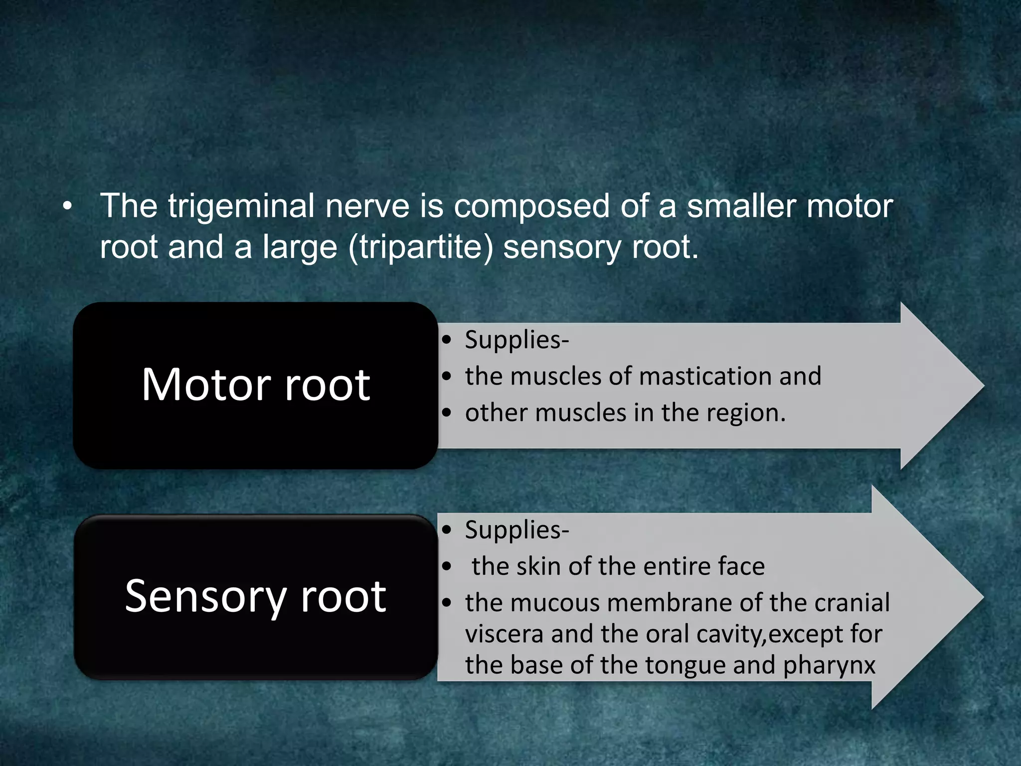 Mandibular nerve | PPTX