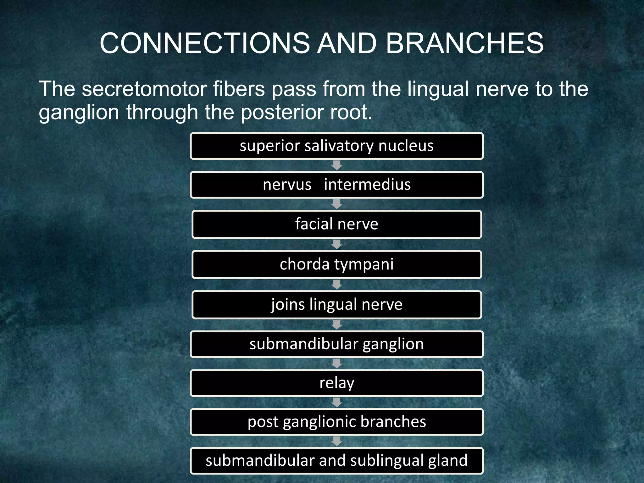 Mandibular nerve | PPTX