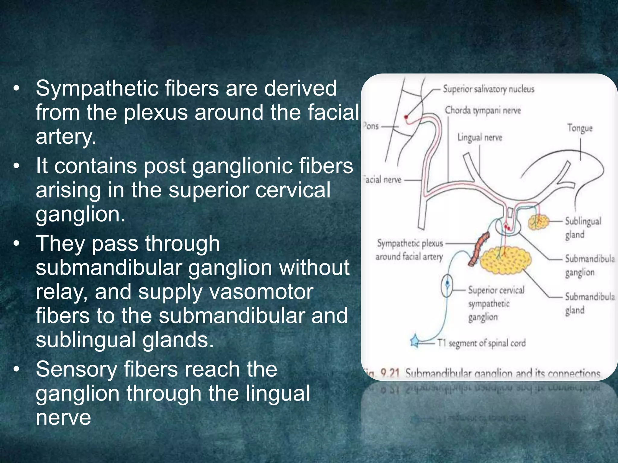 Mandibular nerve | PPTX