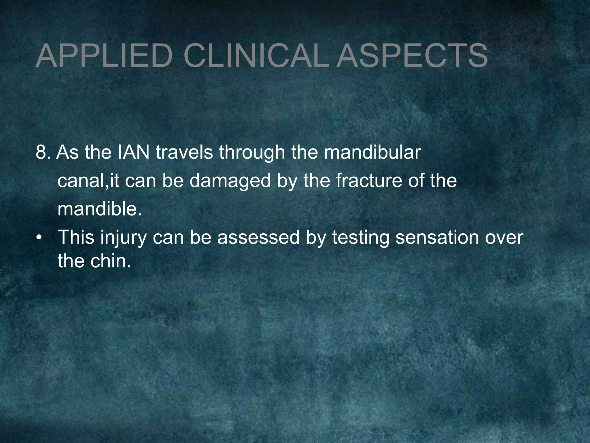 Mandibular nerve | PPTX