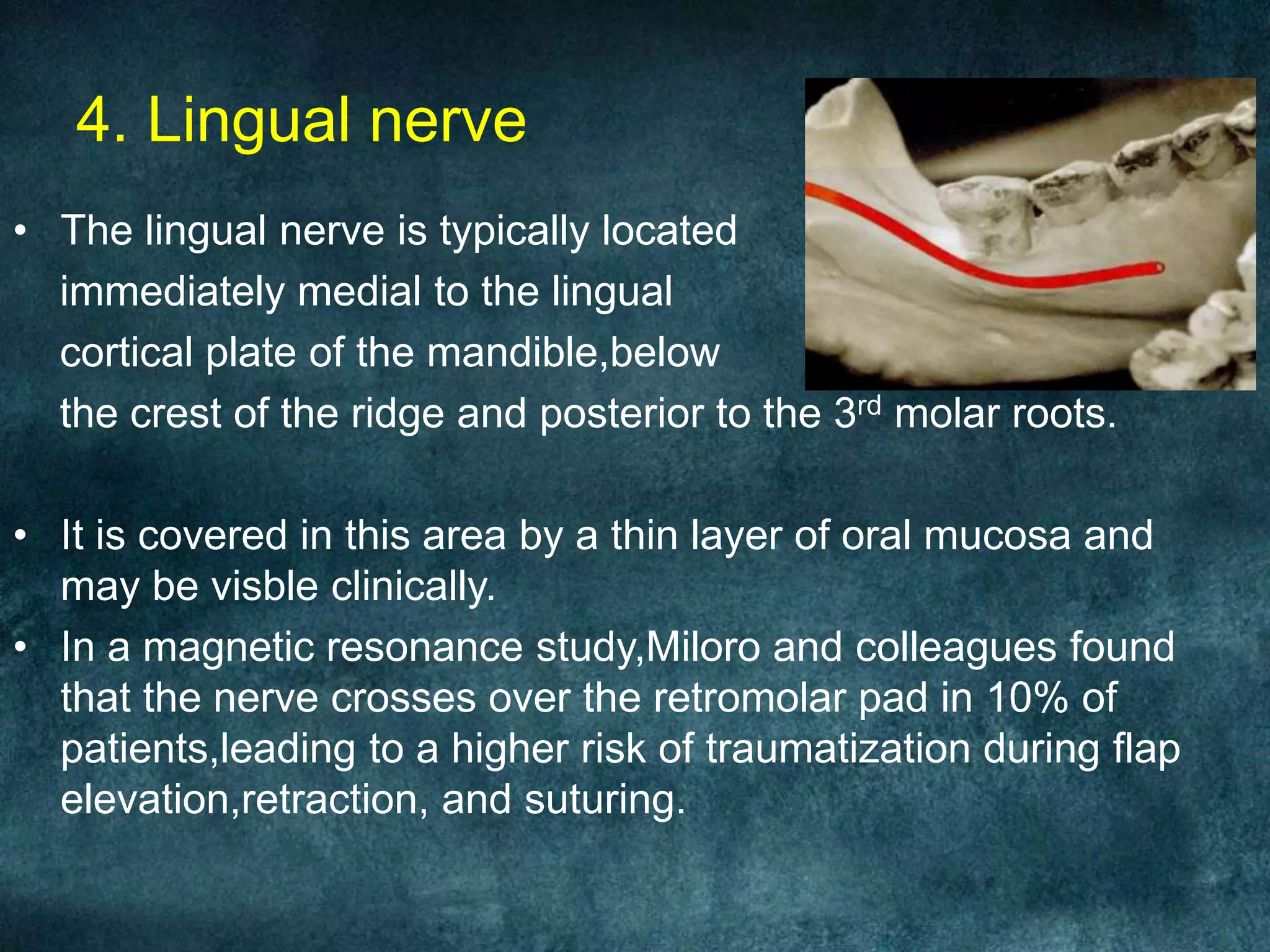 Mandibular nerve | PPTX