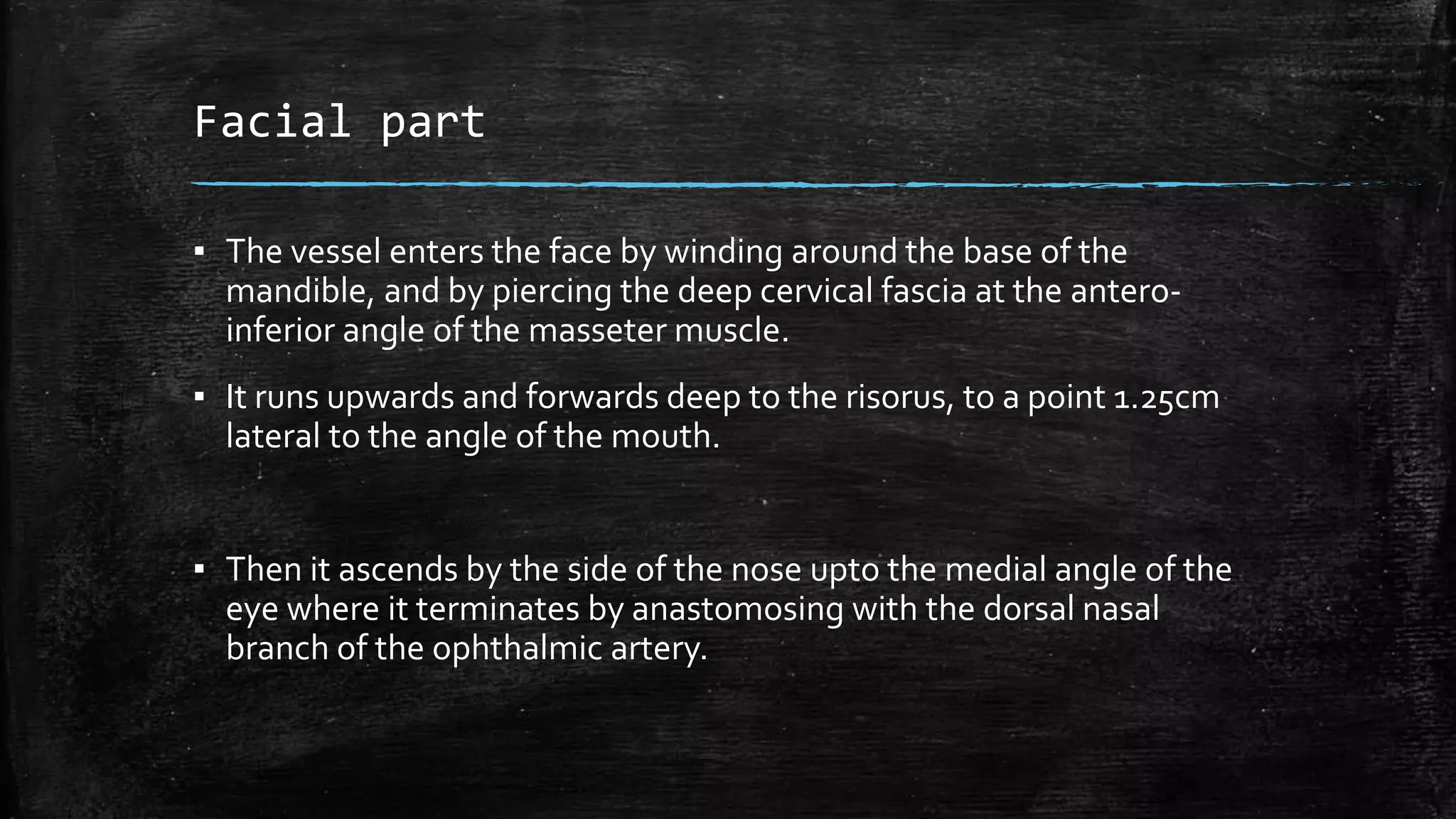 Facial artery | PPTX