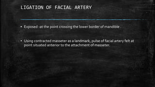 Facial artery | PPTX