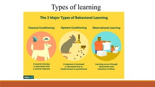 Learning | PPTX