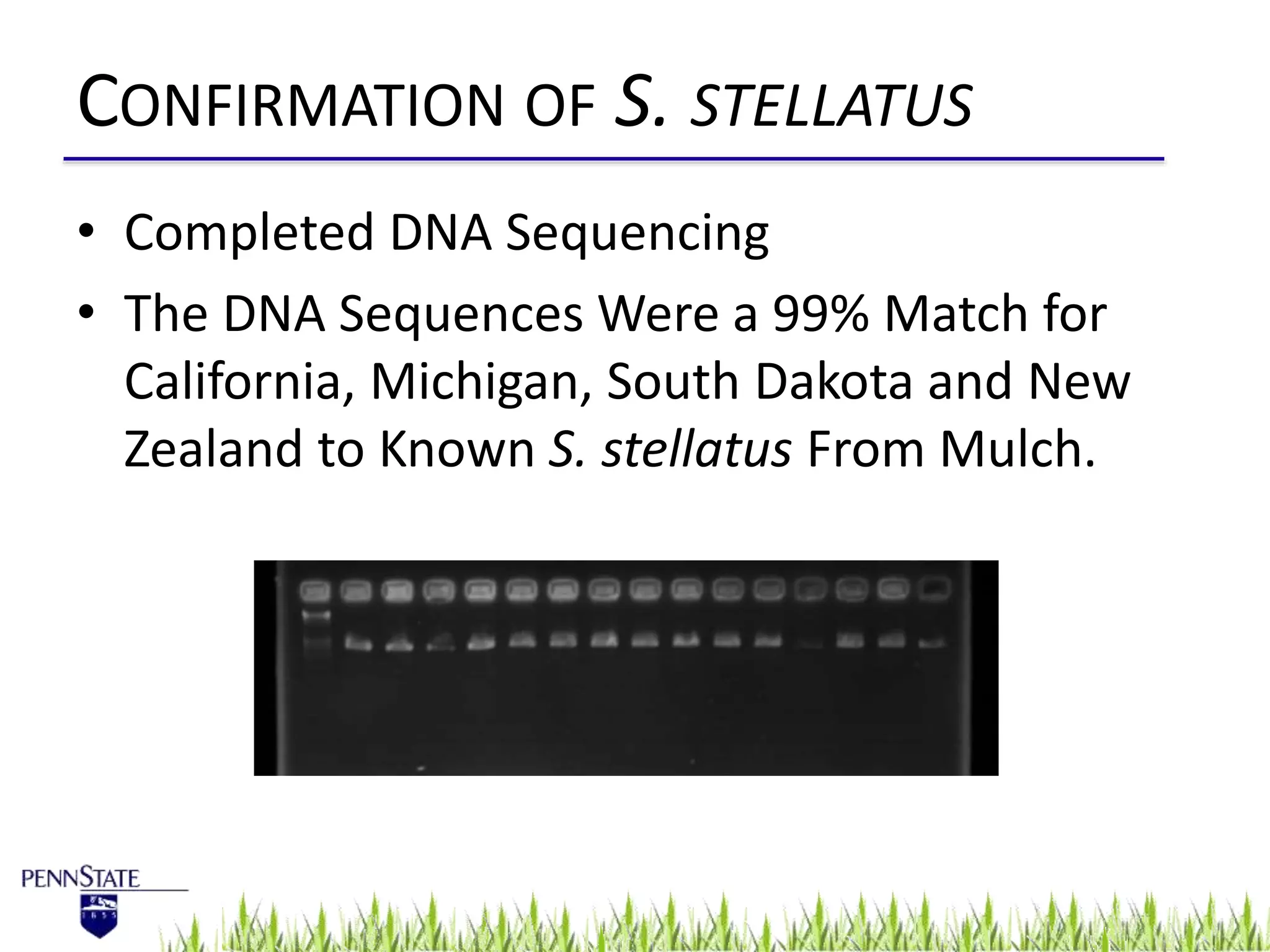 Thatch collapse | PPTX