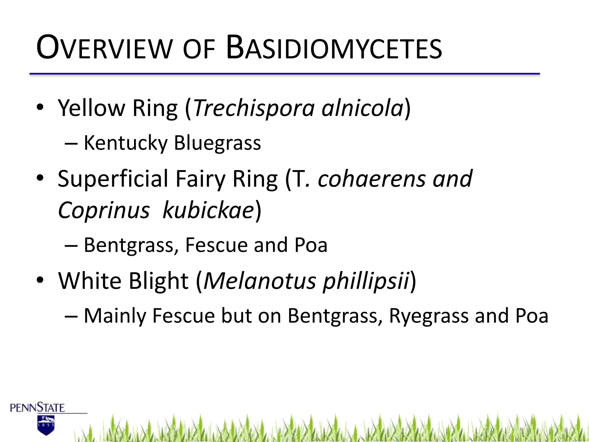 Thatch collapse | PPTX