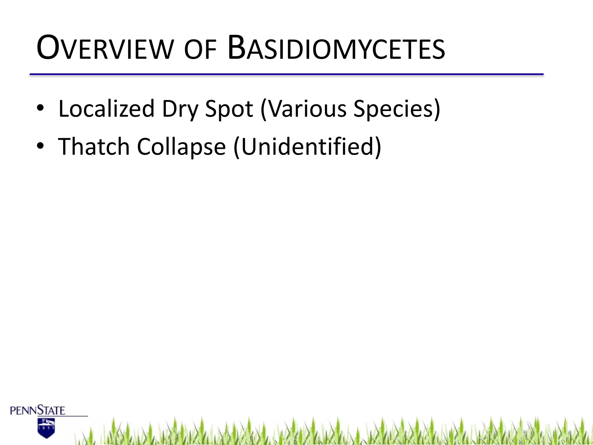 Thatch collapse | PPTX